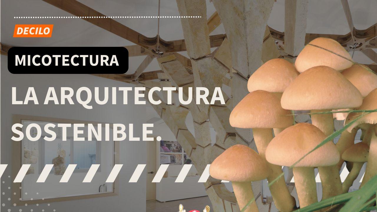 Micotectura, la panacea de la arquitectura sostenible - Decilo.news